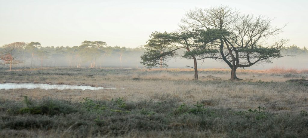 Z - Colliewandeling Het Smokkelaartje - Schotse Herder Vrienden